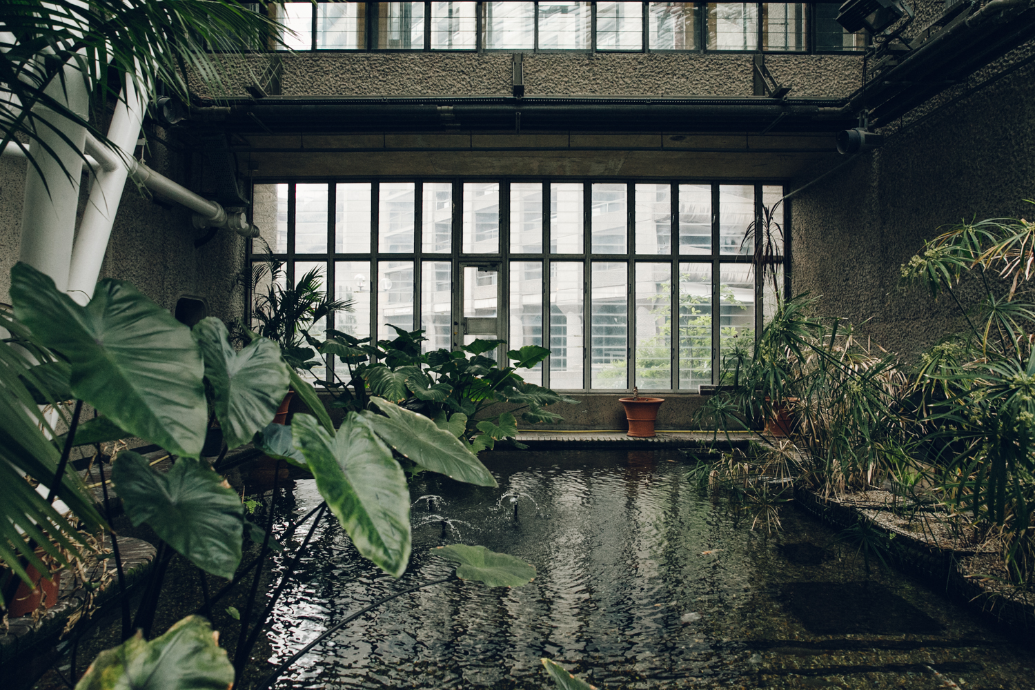 Beyond Big Ben – Local-Approved Things To Do In London | The Gem Picker